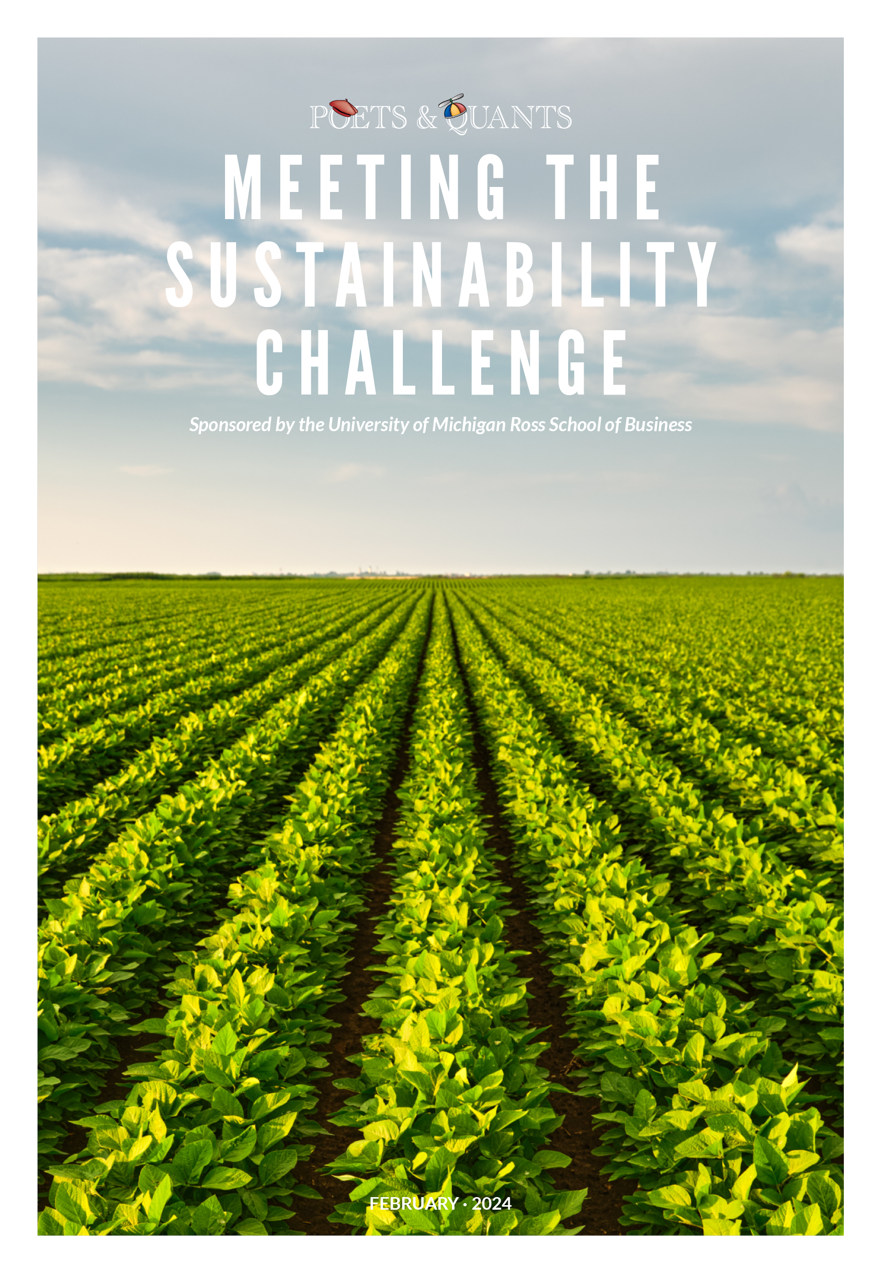 Free Downloadable Guide: Meeting the Sustainability Challenge